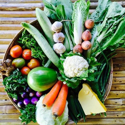 Pennywort Cooking Class - GOOD LIFE MYANMAR