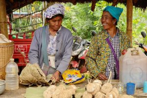 Bago (pegu) city private day tour from Yangon - Good Life Myanmar